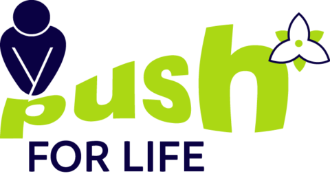 push logo | META Services